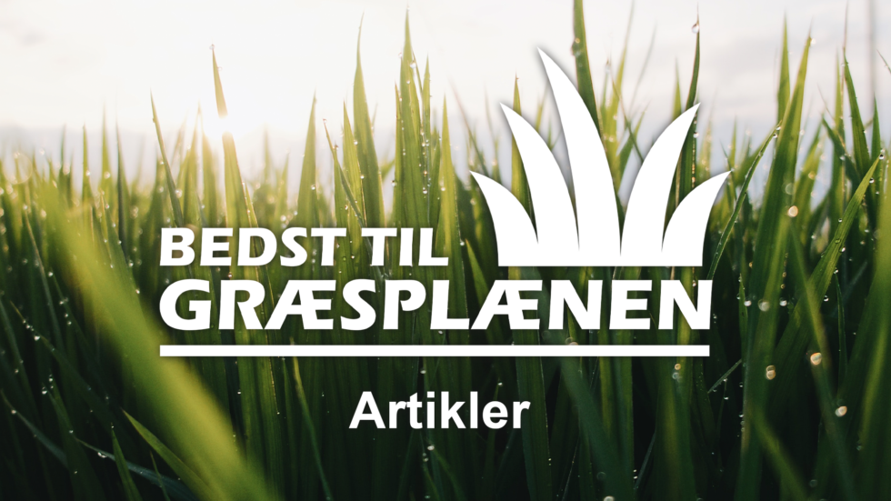 Artikler - Bedst til Græsplænen